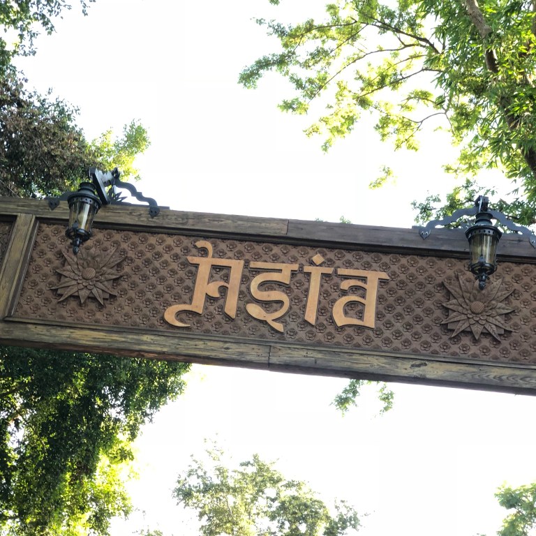 Disney’s Animal Kingdom – Limitless Park