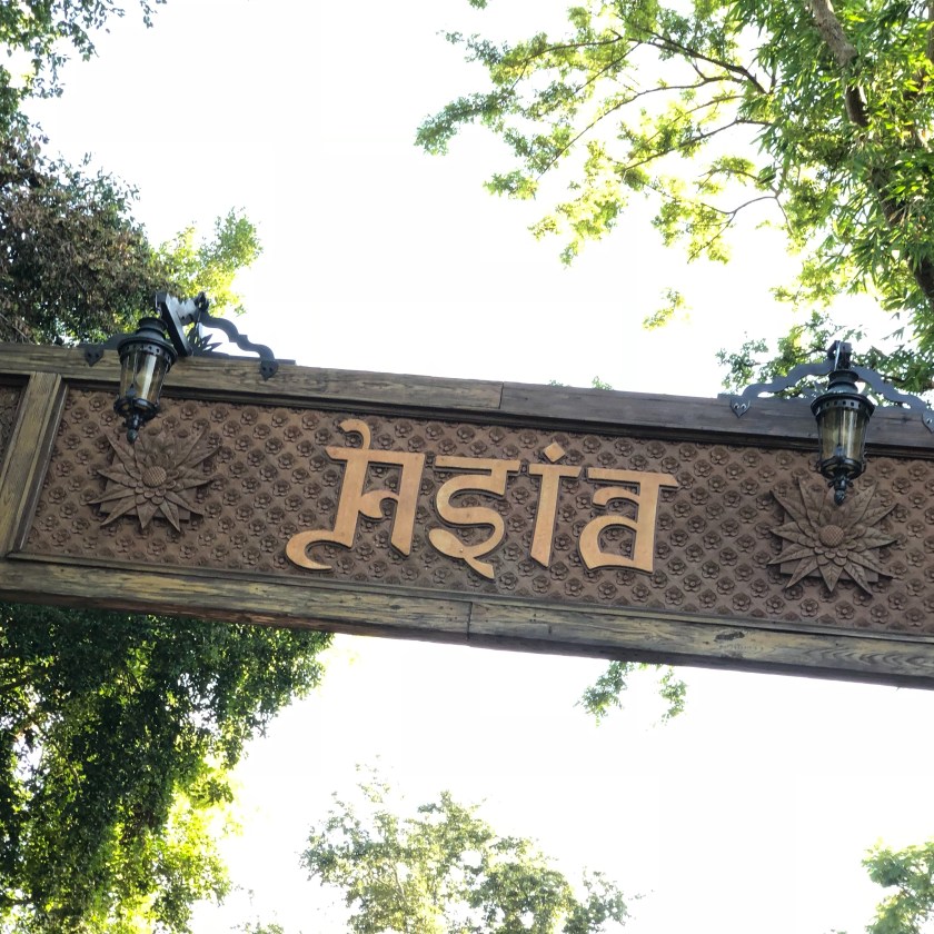 Disney’s Animal Kingdom – Limitless Park